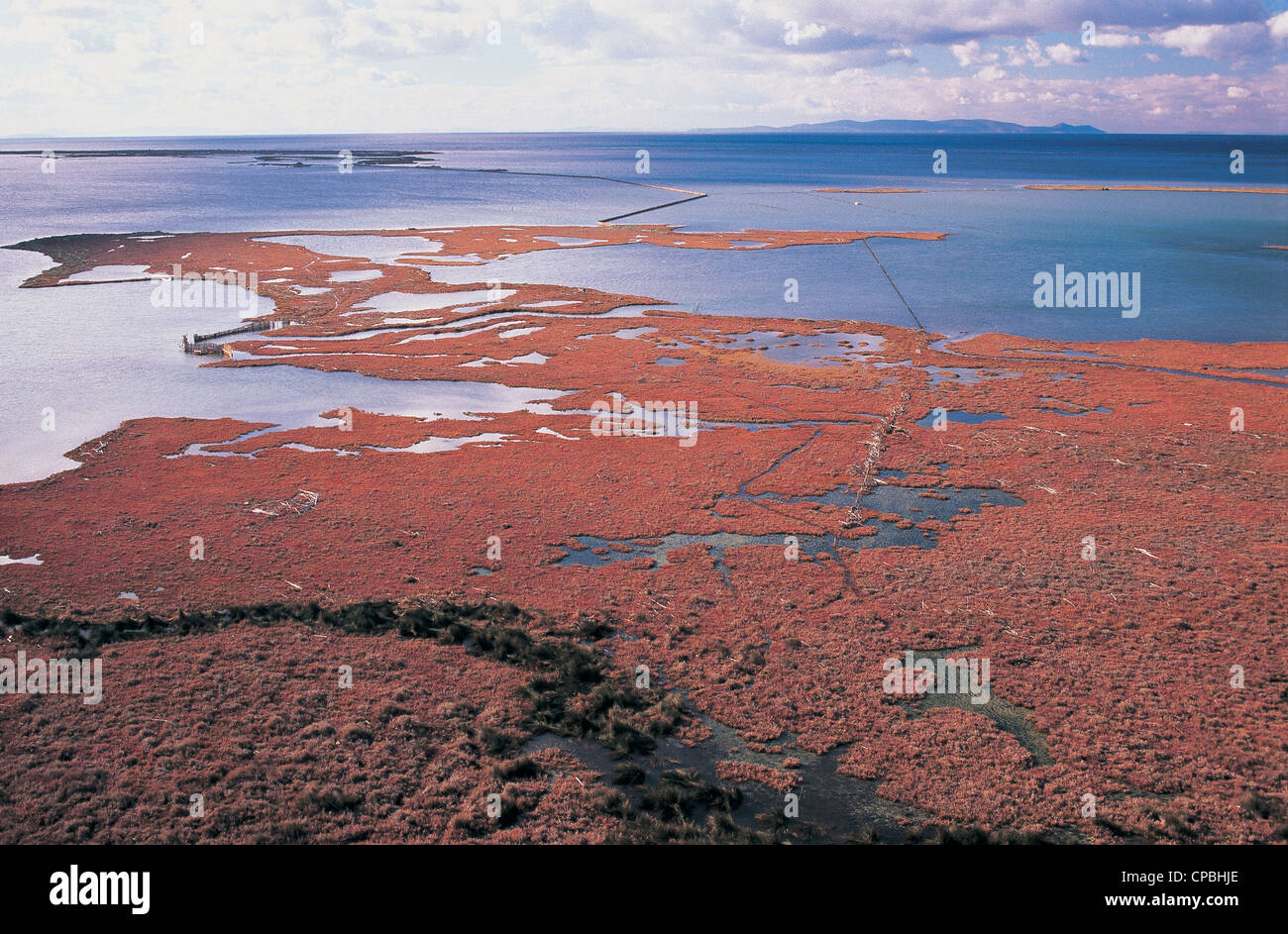 Estuary Menderes River Turkey Stock Photo - Alamy