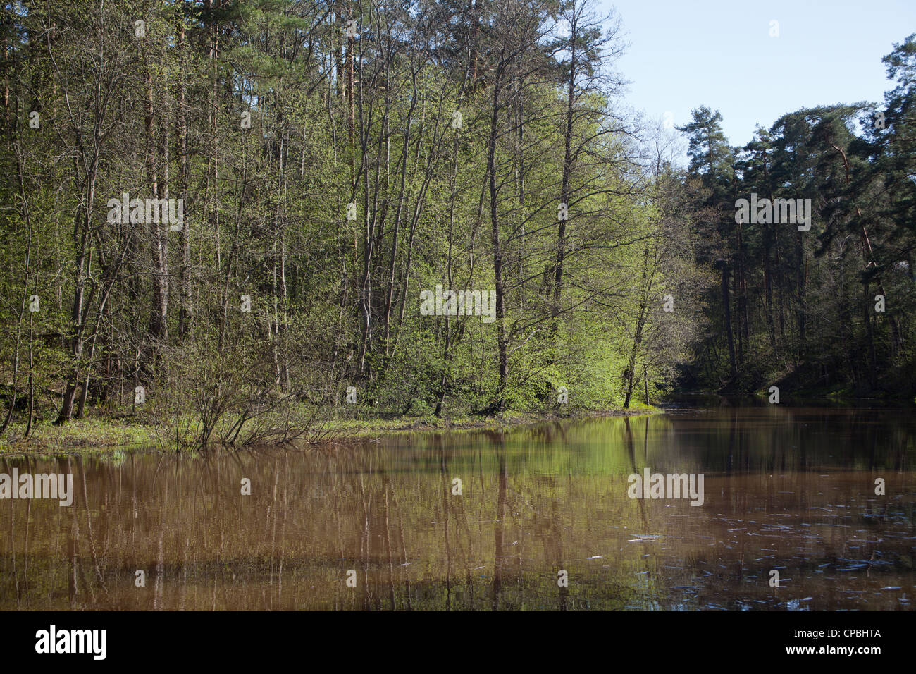 Sestroretsk hi-res stock photography and images - Alamy