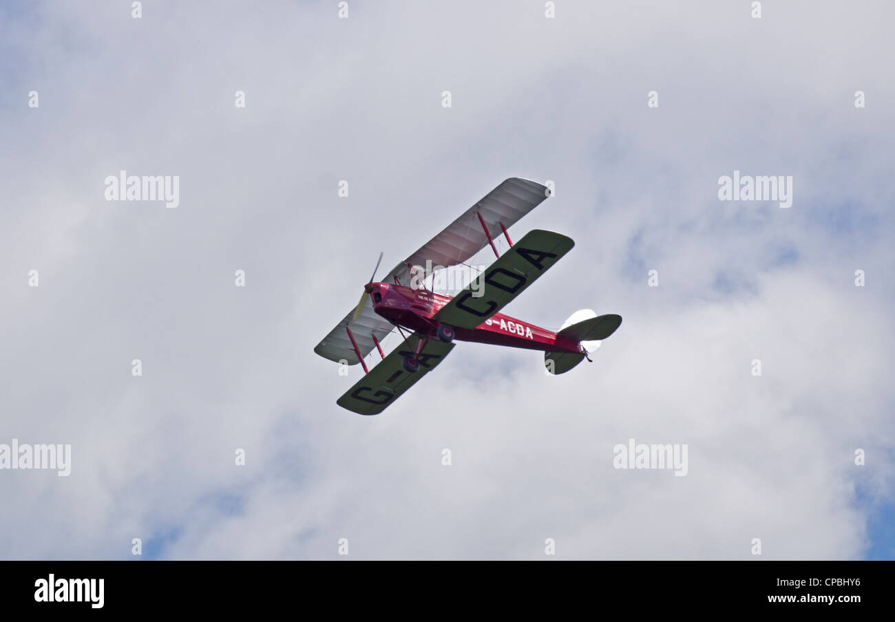 tiger moth in flight Stock Photo - Alamy
