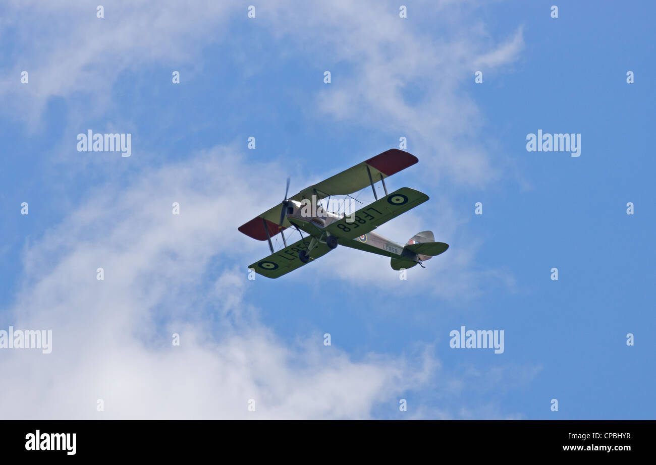 tiger moth in flight Stock Photo - Alamy
