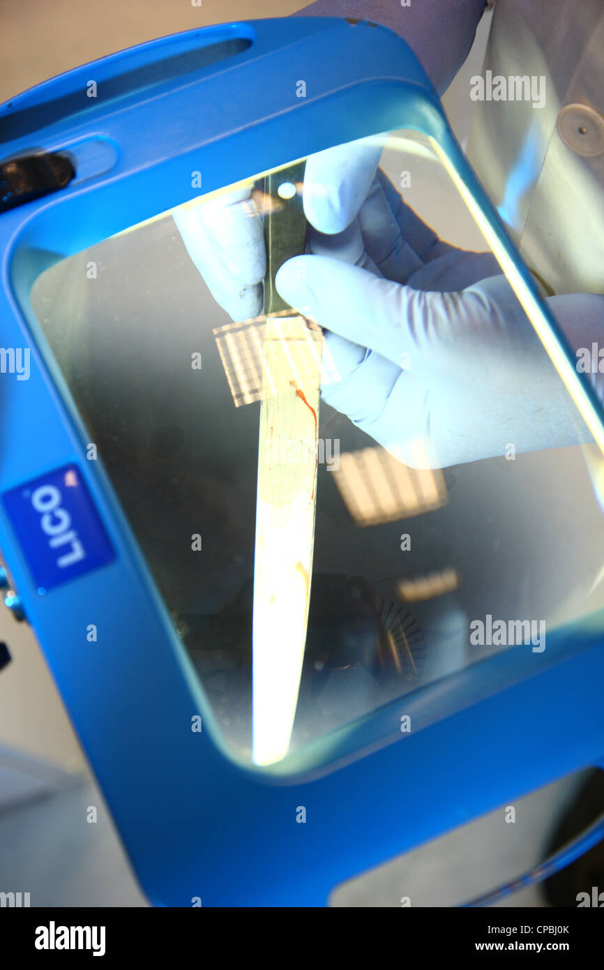 Police. State Office of Criminal Investigations. Crime scene ...