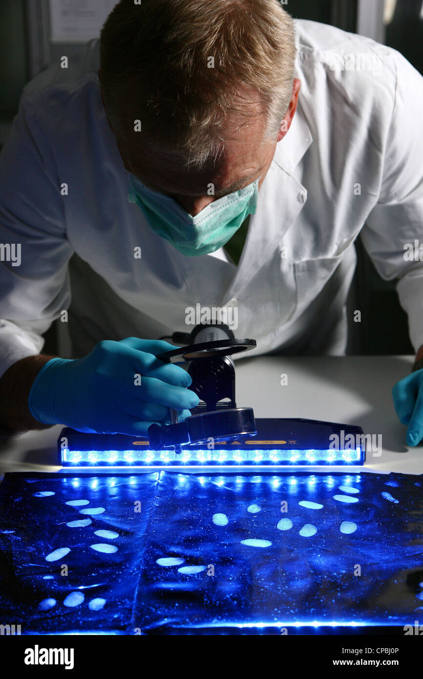 Crime scene fingerprints hi-res stock photography and images - Alamy