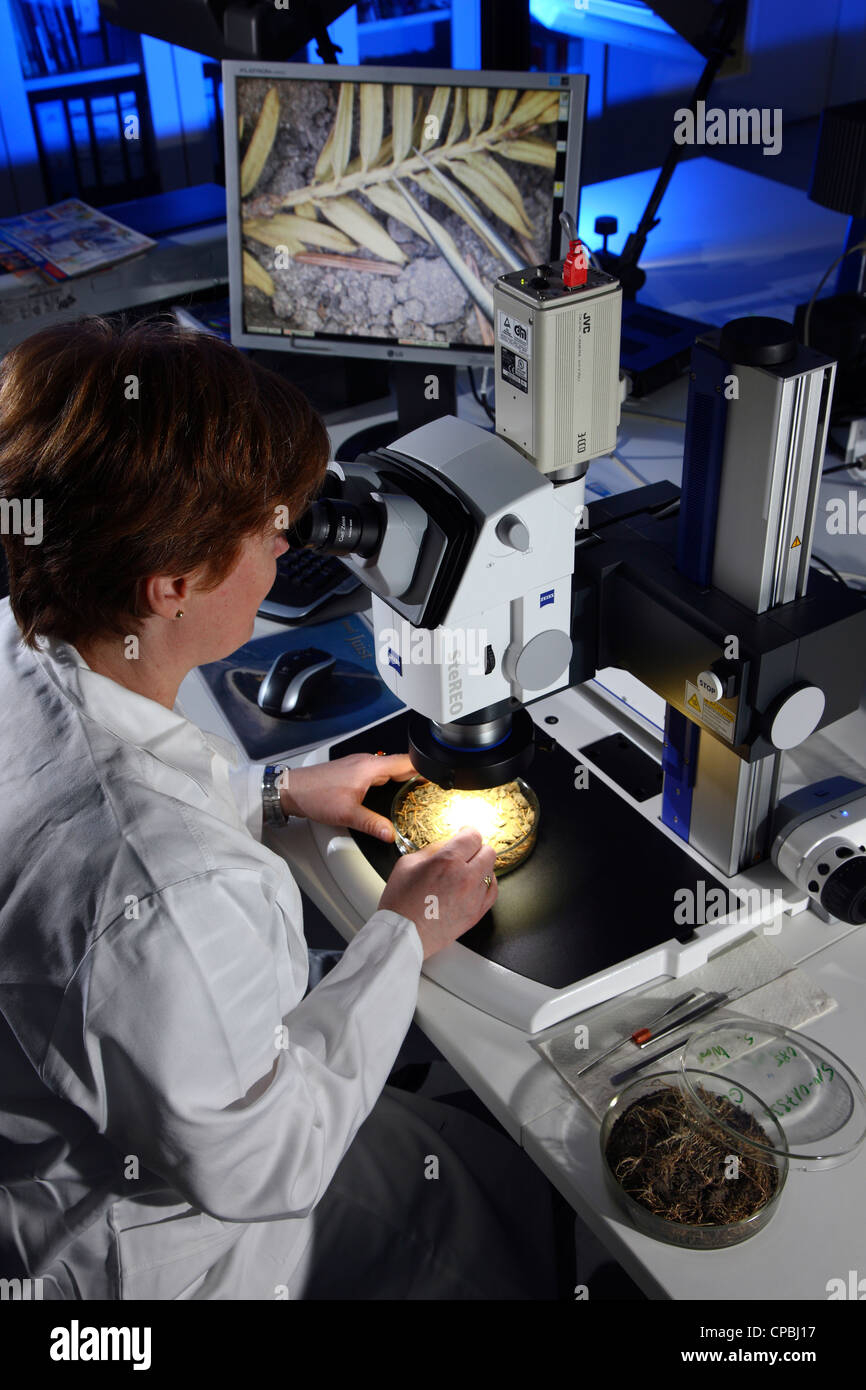 Soil investigation hi-res stock photography and images - Alamy