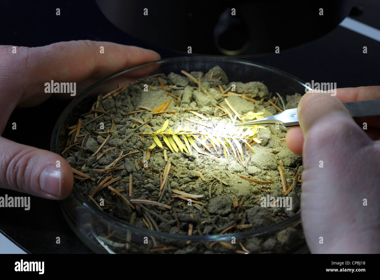 Police. State Office of Criminal Investigations. Crime scene ...