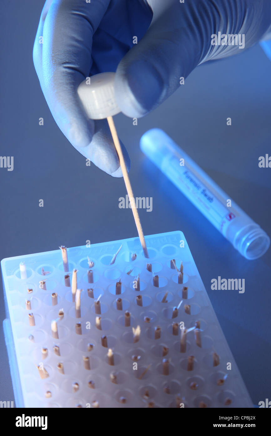 Crime lab uv hi-res stock photography and images - Alamy