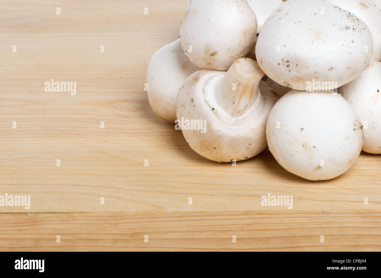 Button mushroom on white hi-res stock photography and images - Alamy