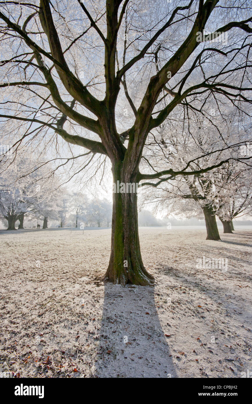 Back light silhouette hi-res stock photography and images - Alamy