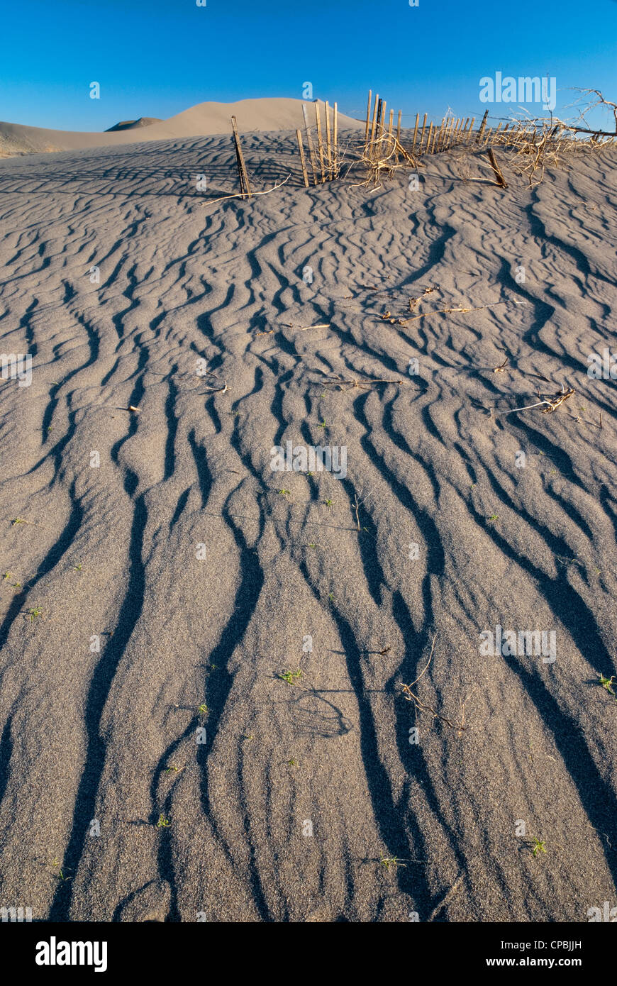 Lines in the Sand leading to an old fence Stock Photo - Alamy