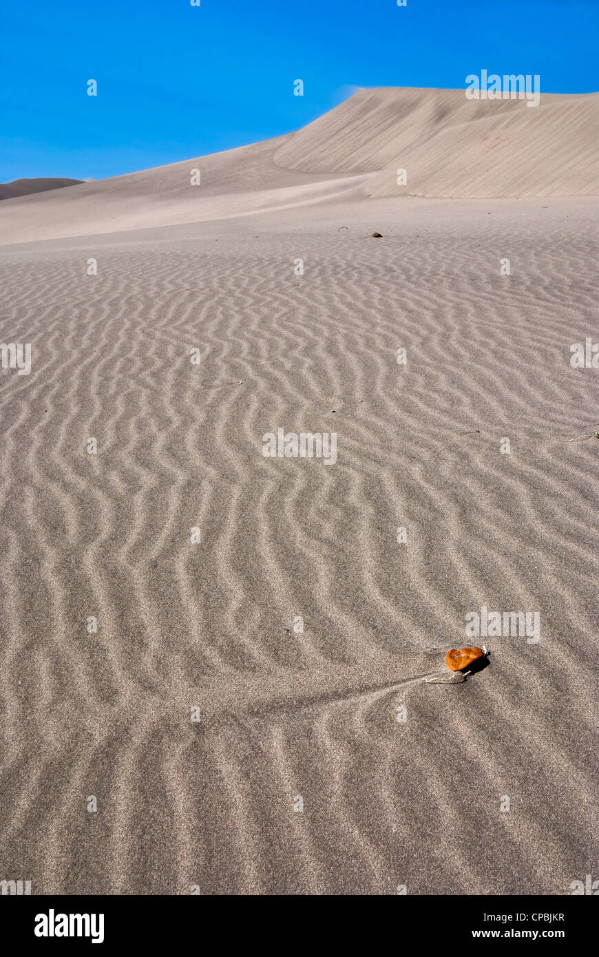The wind has blown ripples in the sand around a rock Stock Photo - Alamy