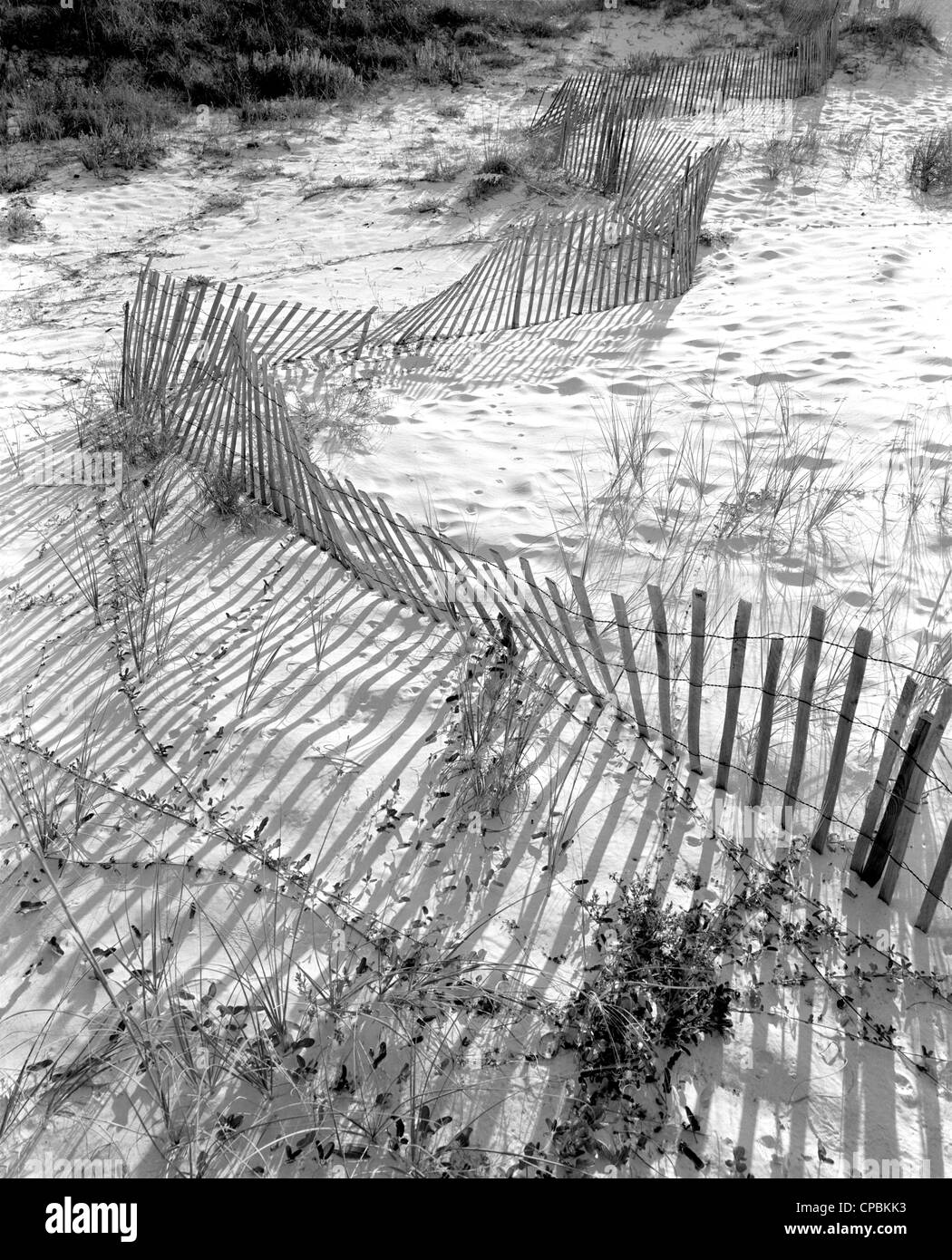 Sand fence winding around on a sand dune of white sand with a shadow of ...