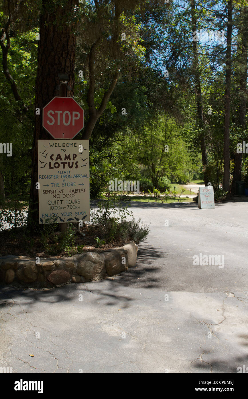 Camp Lotus High Resolution Stock Photography and Images - Alamy