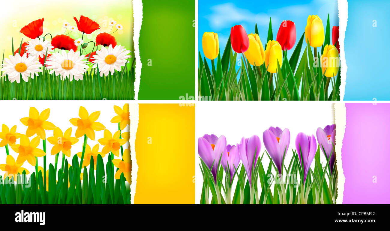 Set of nature backgrounds with colorful spring and summer flowers and ...