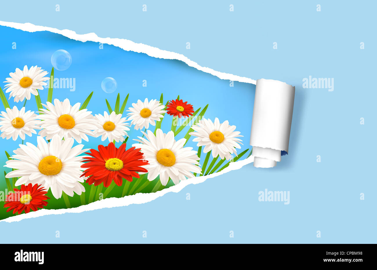Summer background with flowers and ripped paper Stock Photo - Alamy