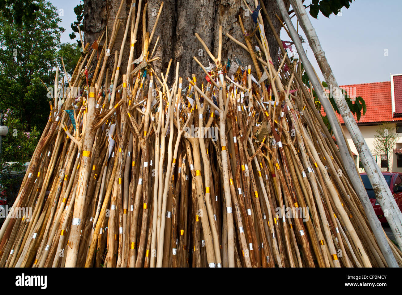 Buddhism tree hi-res stock photography and images - Alamy
