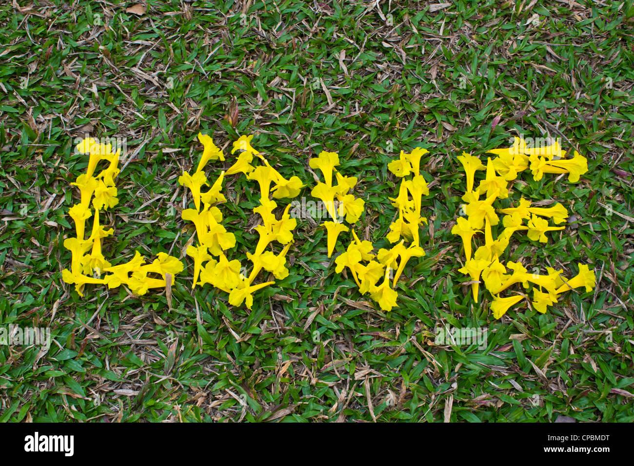 Form of love hi-res stock photography and images - Alamy