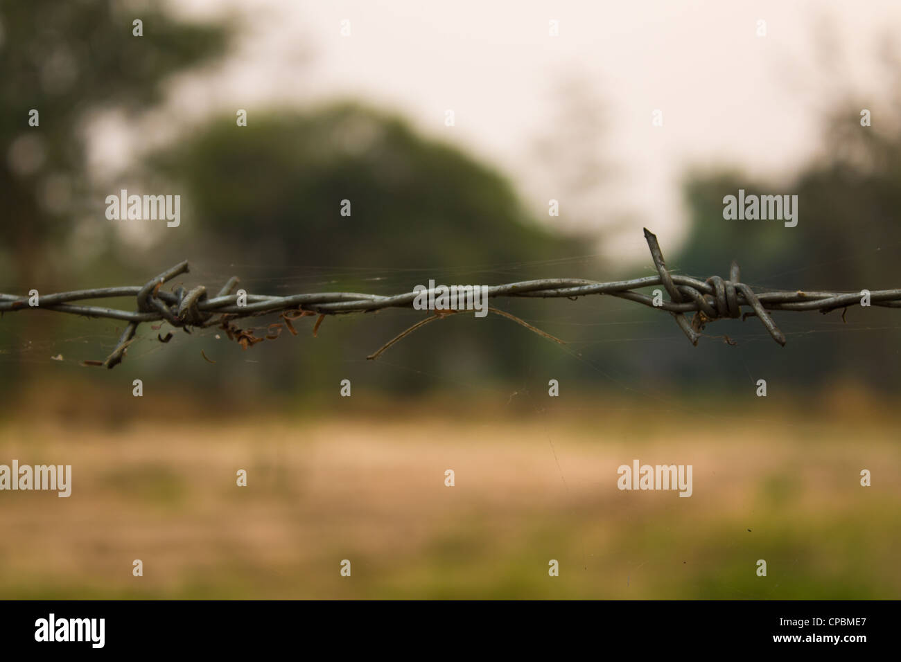 Thorn fence hi-res stock photography and images - Alamy