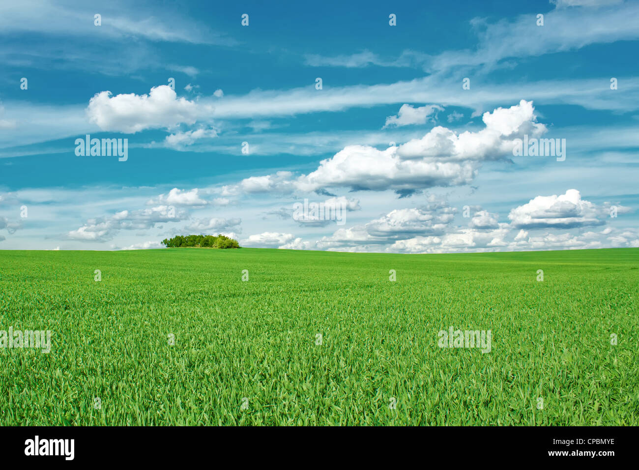 Green field summer landscape beautiful hi-res stock photography and ...