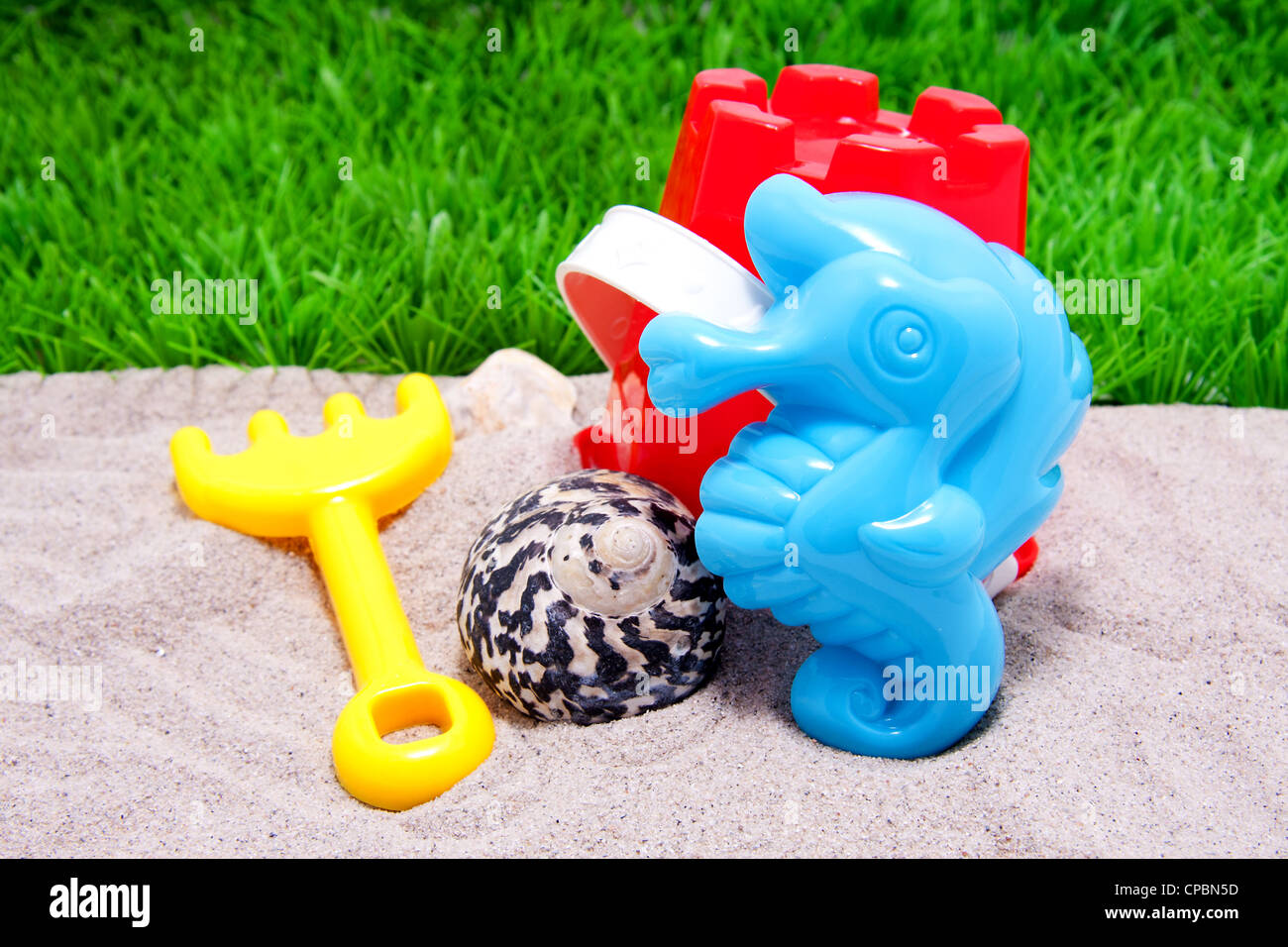 Plastic shell hi-res stock photography and images - Alamy