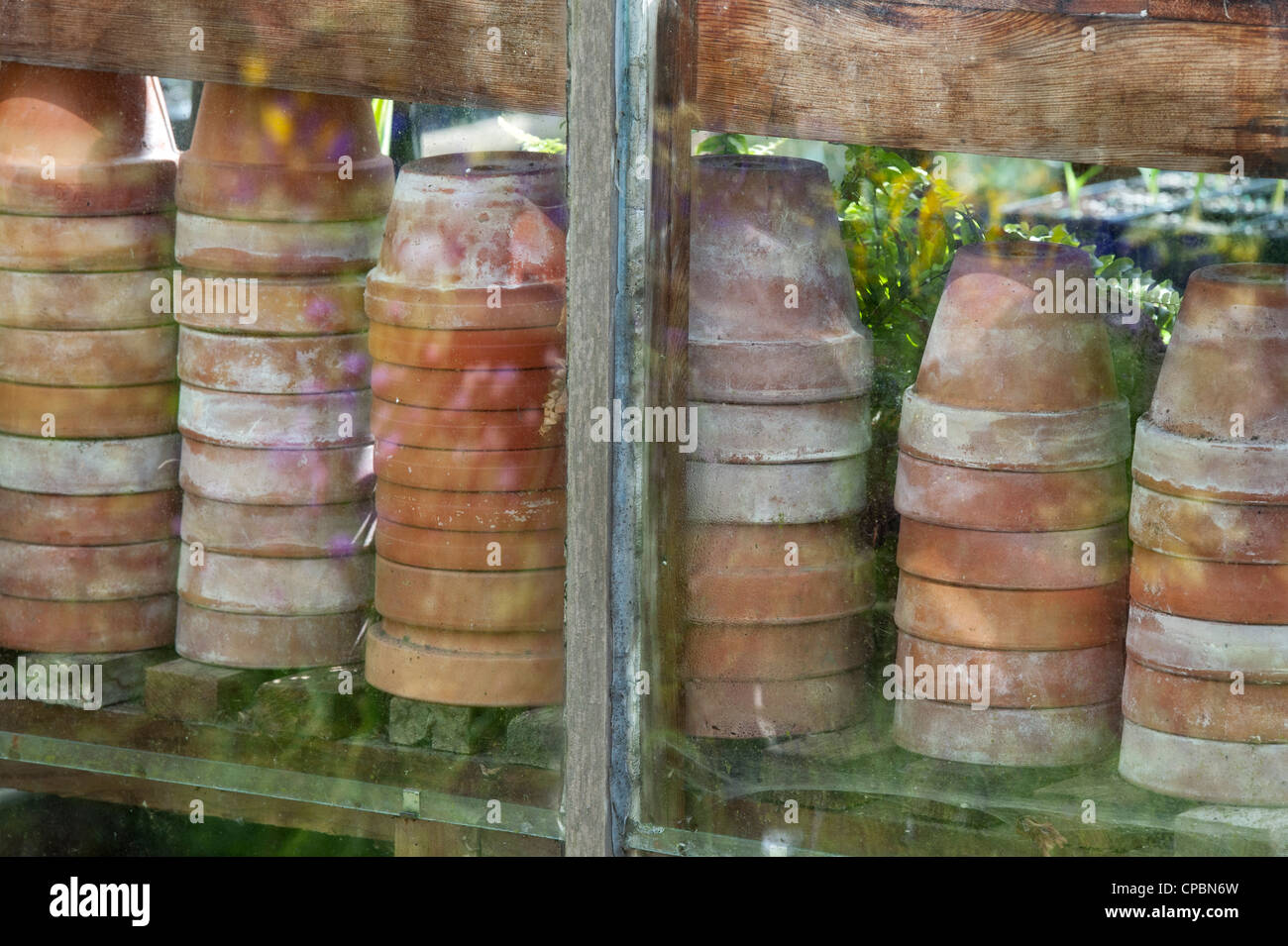 Stacked terracotta flowerpots in an old greenhouse. UK Stock Photo - Alamy