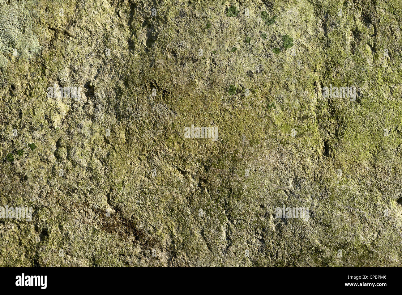 Pattern on a slab of Purbeck Limestone Stock Photo - Alamy