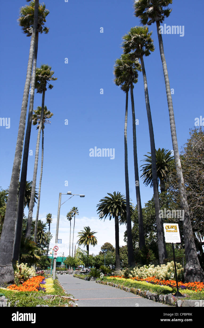 Napier, New Zealand Clive Square Stock Photo - Alamy