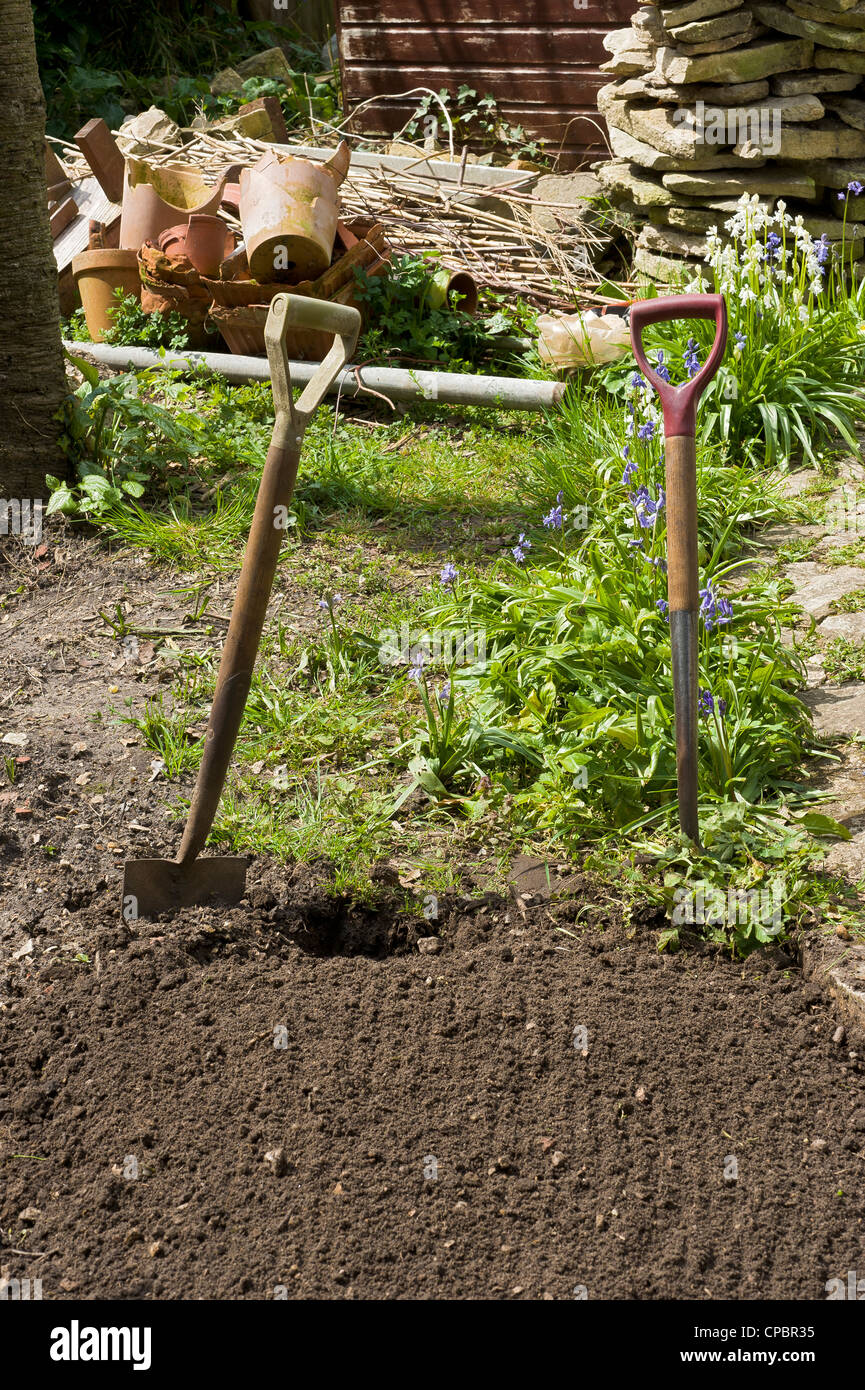 A derelict area of a garden being cleared and dug for replanting. Tools ...