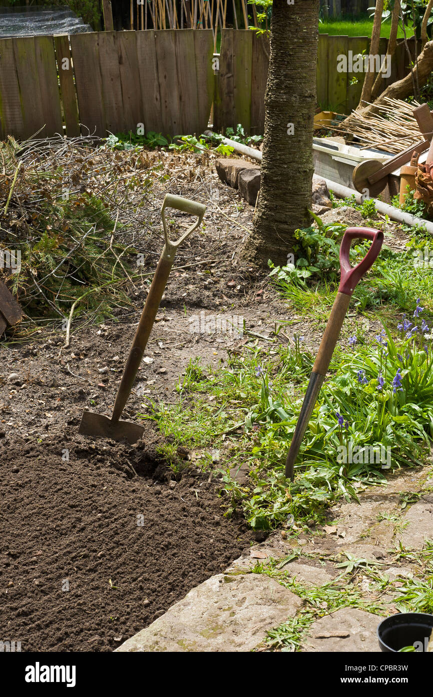 A derelict area of a garden being cleared and dug for replanting. Tools ...