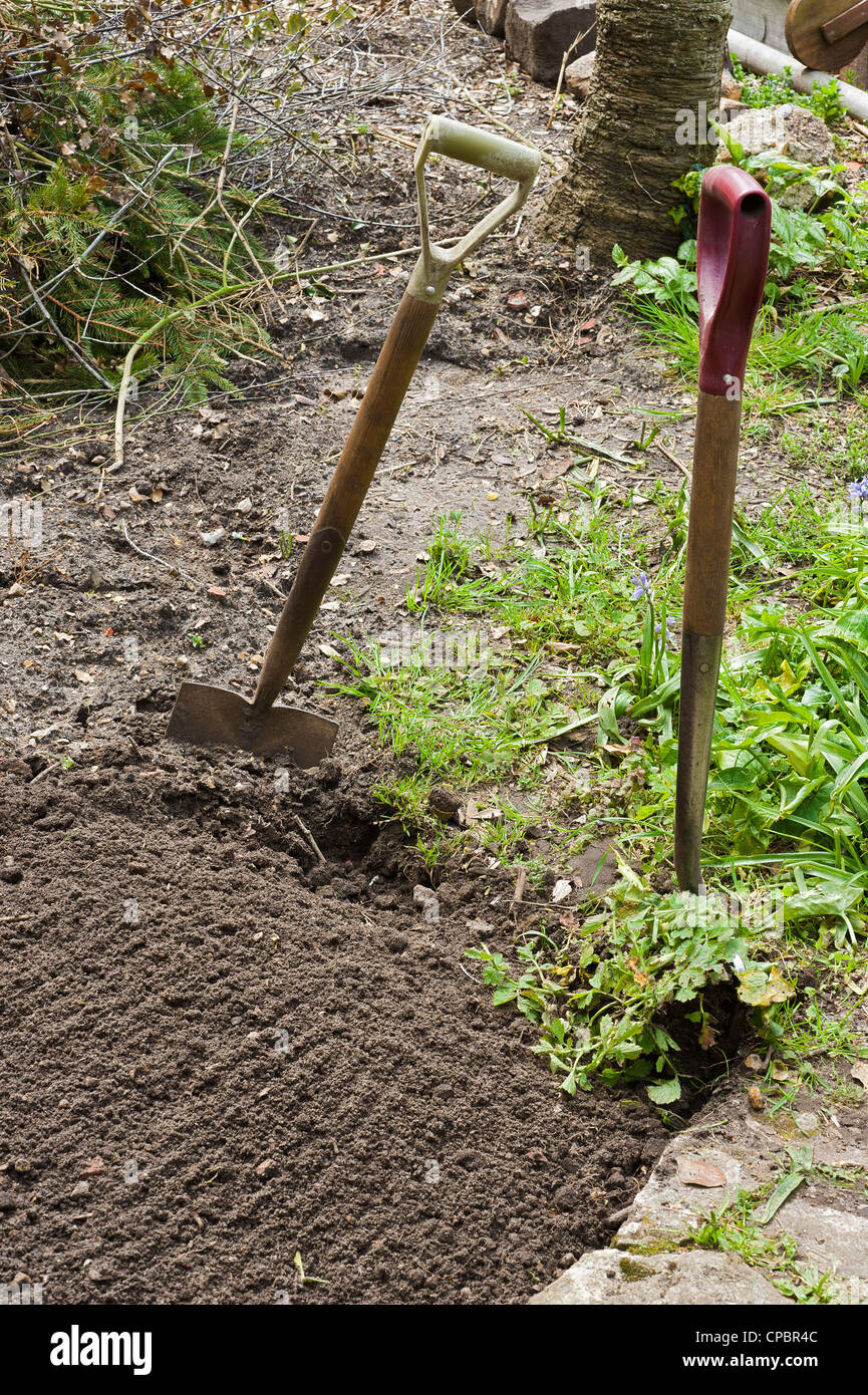 A derelict area of a garden being cleared and dug for replanting. Tools ...