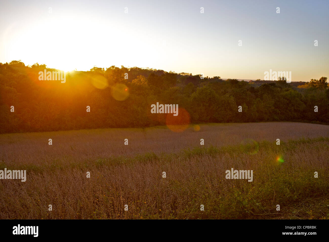 Farmland usa hi-res stock photography and images - Alamy