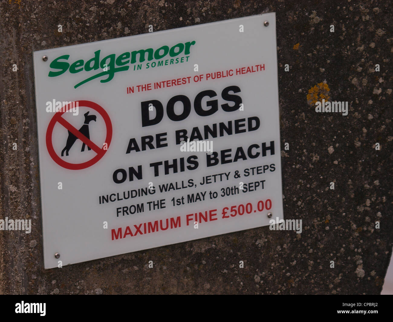 Dogs banned from the beach sign, Burnham-on-sea, Somerset, UK Stock ...