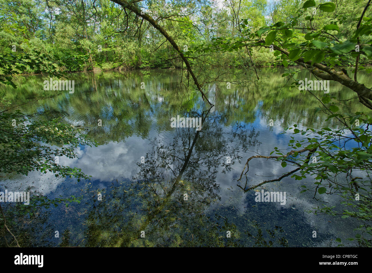 Reflection in calm waters trees and clouds reflected in tater Stock ...