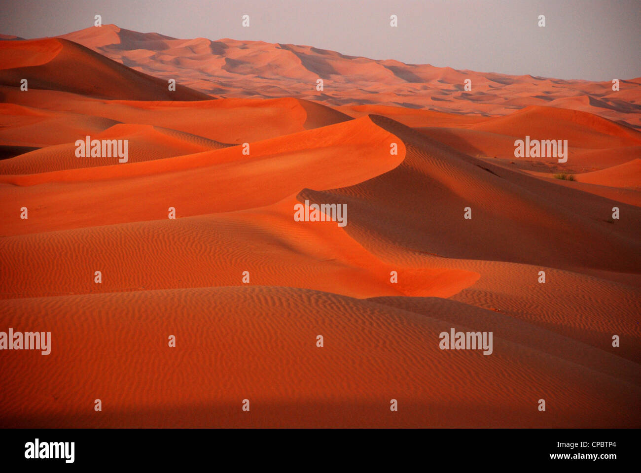 Sand dunes in Dubai, UAE Stock Photo - Alamy