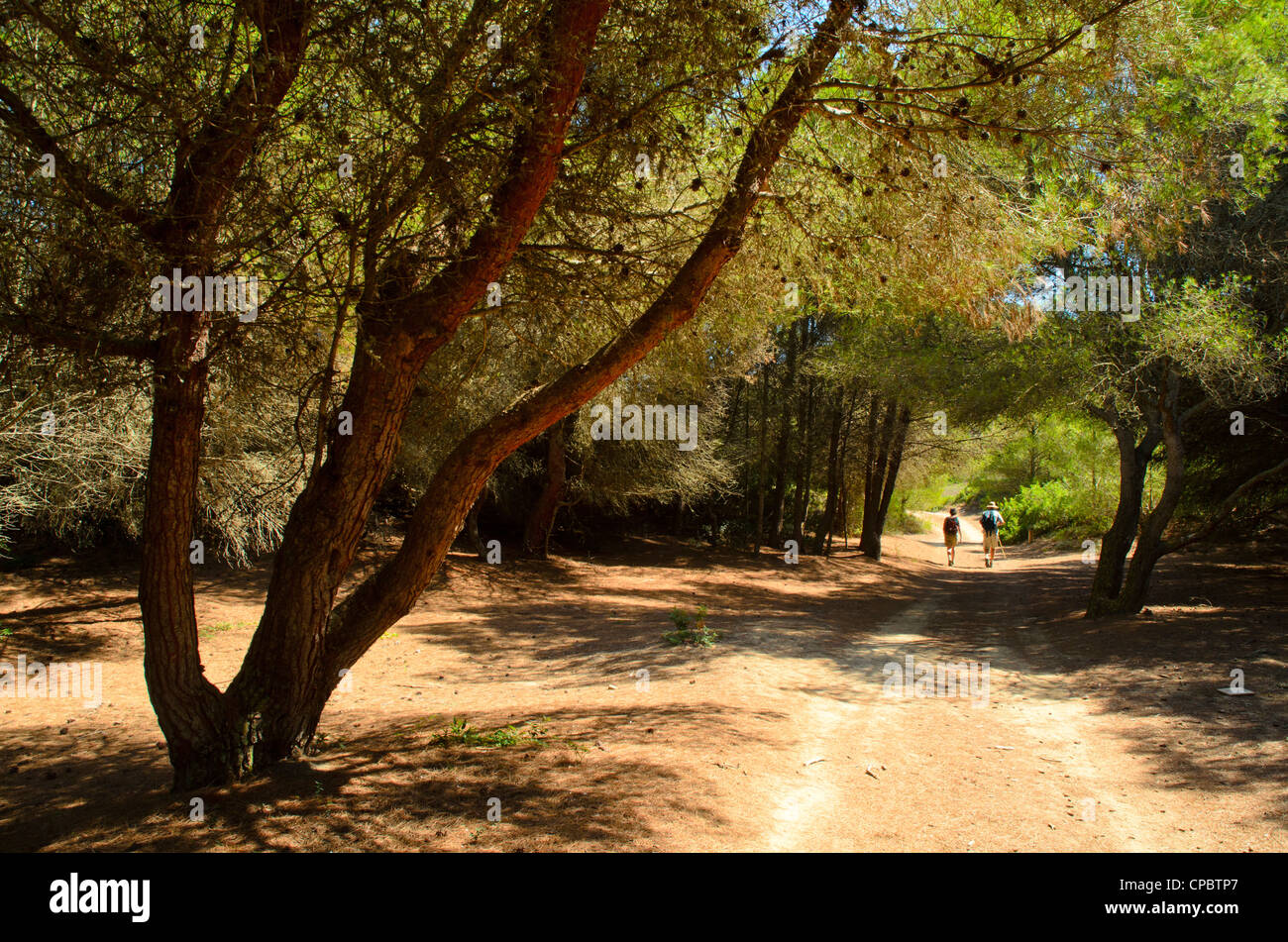 Wakers on an inland section of the Cami de Cavalls coastal path in the ...
