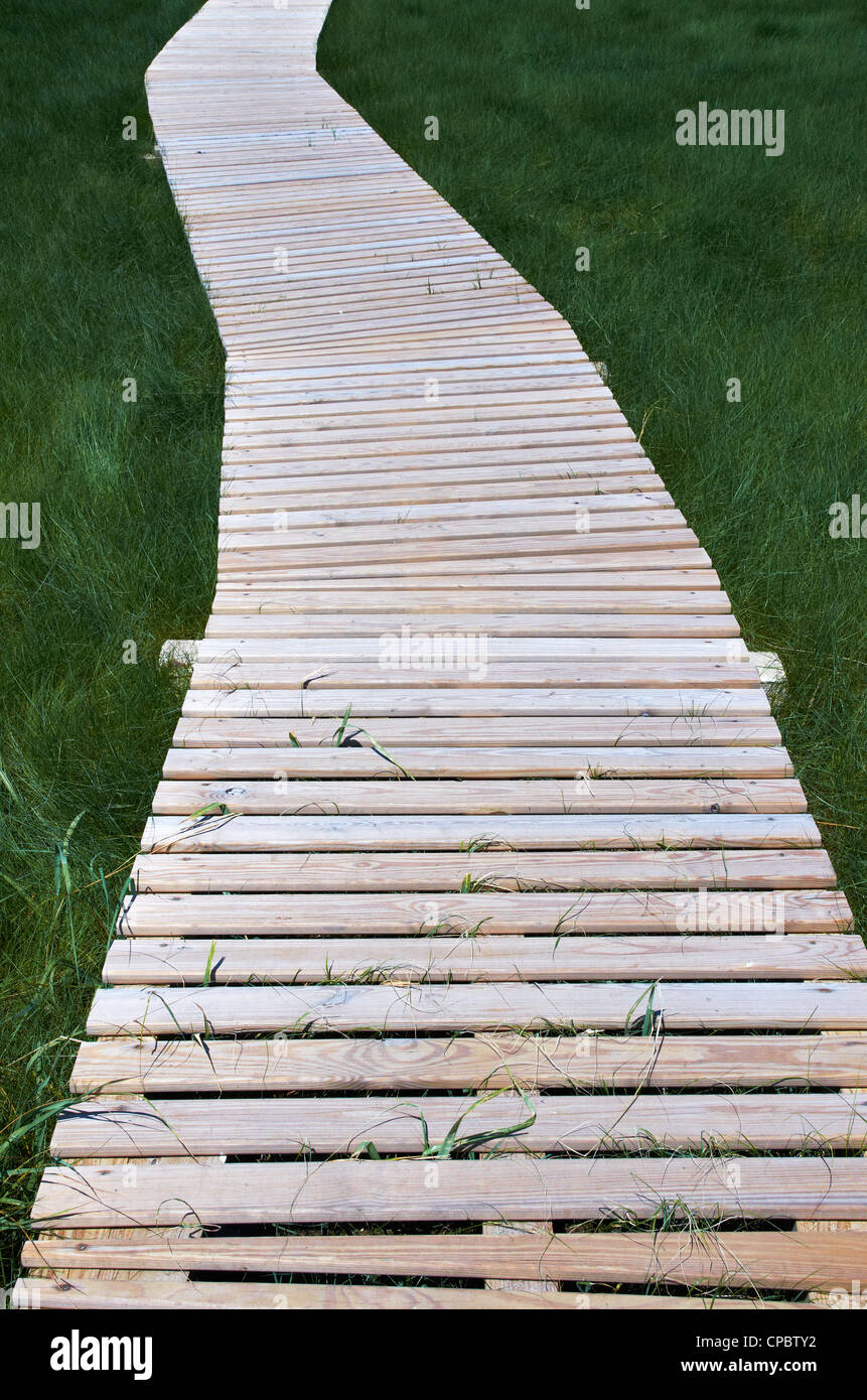 boardwalk on grass Stock Photo - Alamy