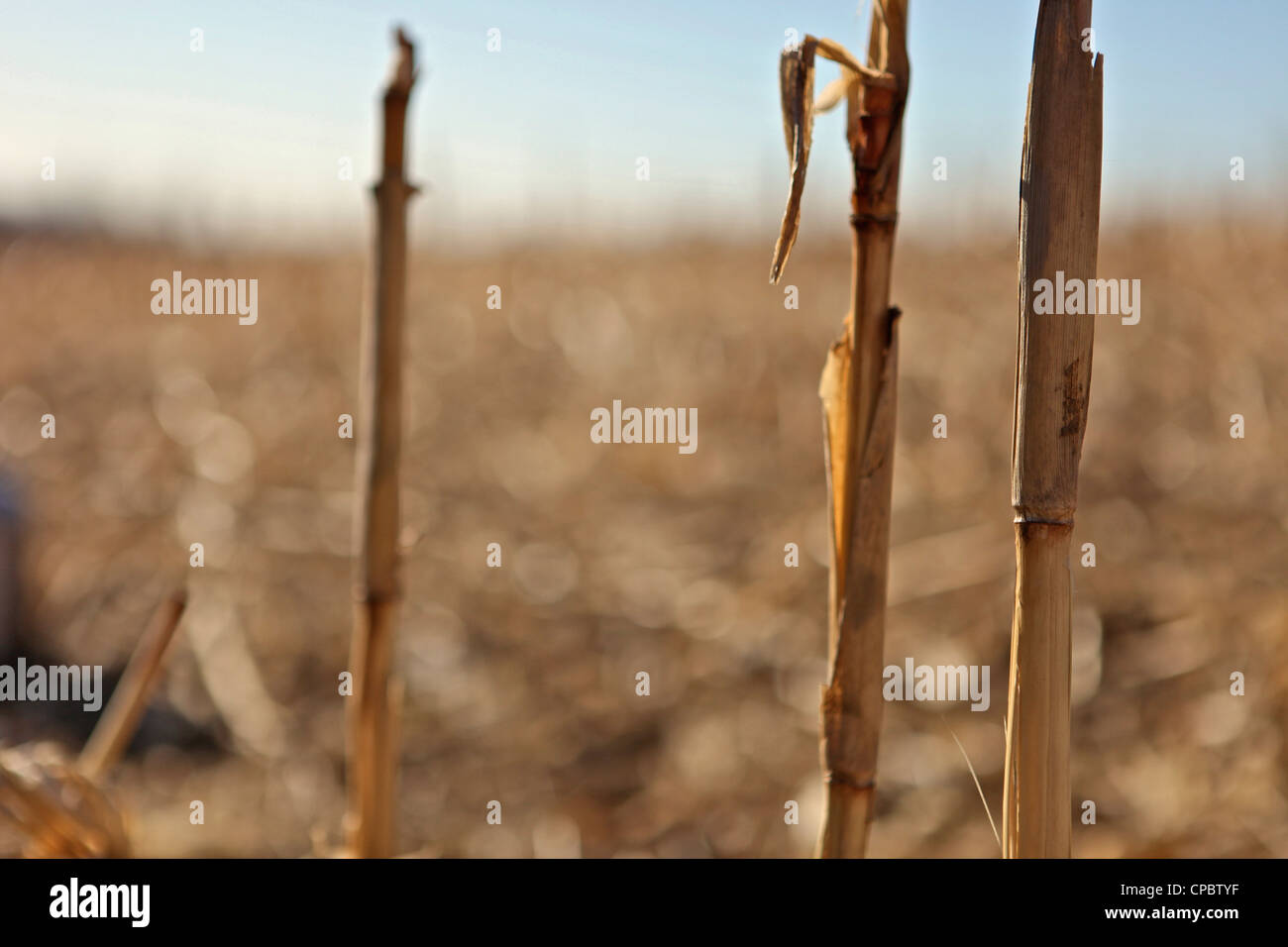 Midwest farm harvest hi-res stock photography and images - Alamy