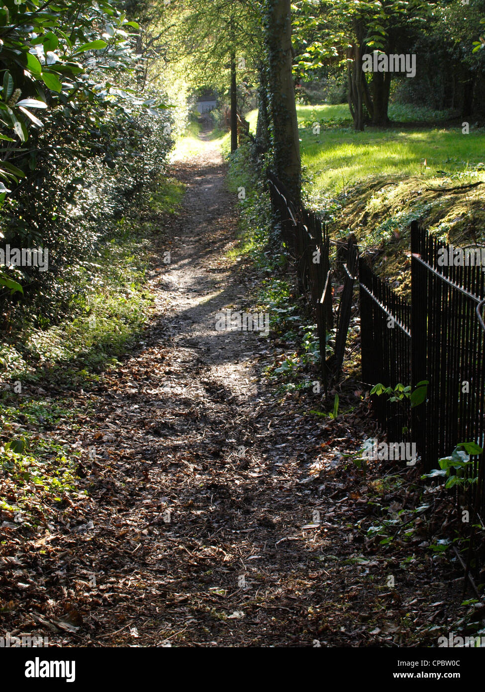 Country footpath, UK Stock Photo - Alamy
