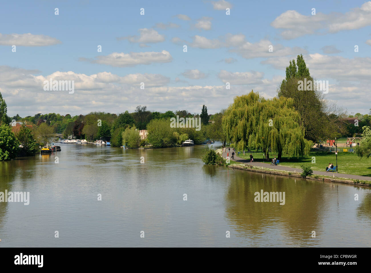 The Thames at Reading from Reading Bridge -1 Stock Photo - Alamy