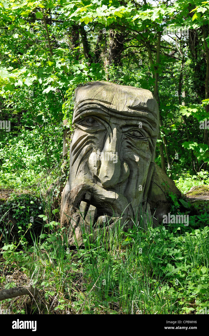 Face carved into tree trunk on View Island, Caversham, Reading ...