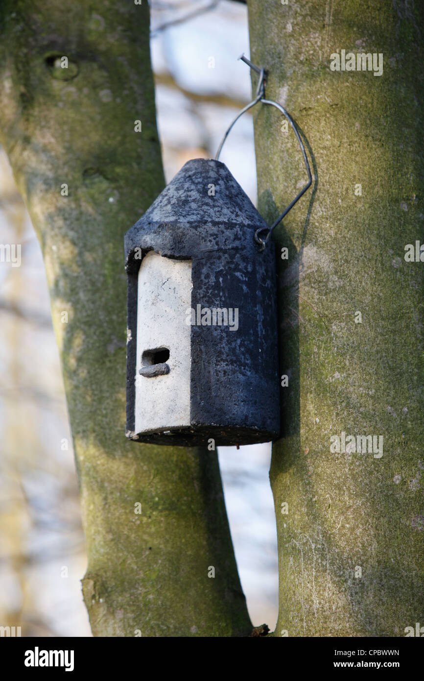 Bat box hanging on a tree,to encourage bats to roost. 2012 is the ...