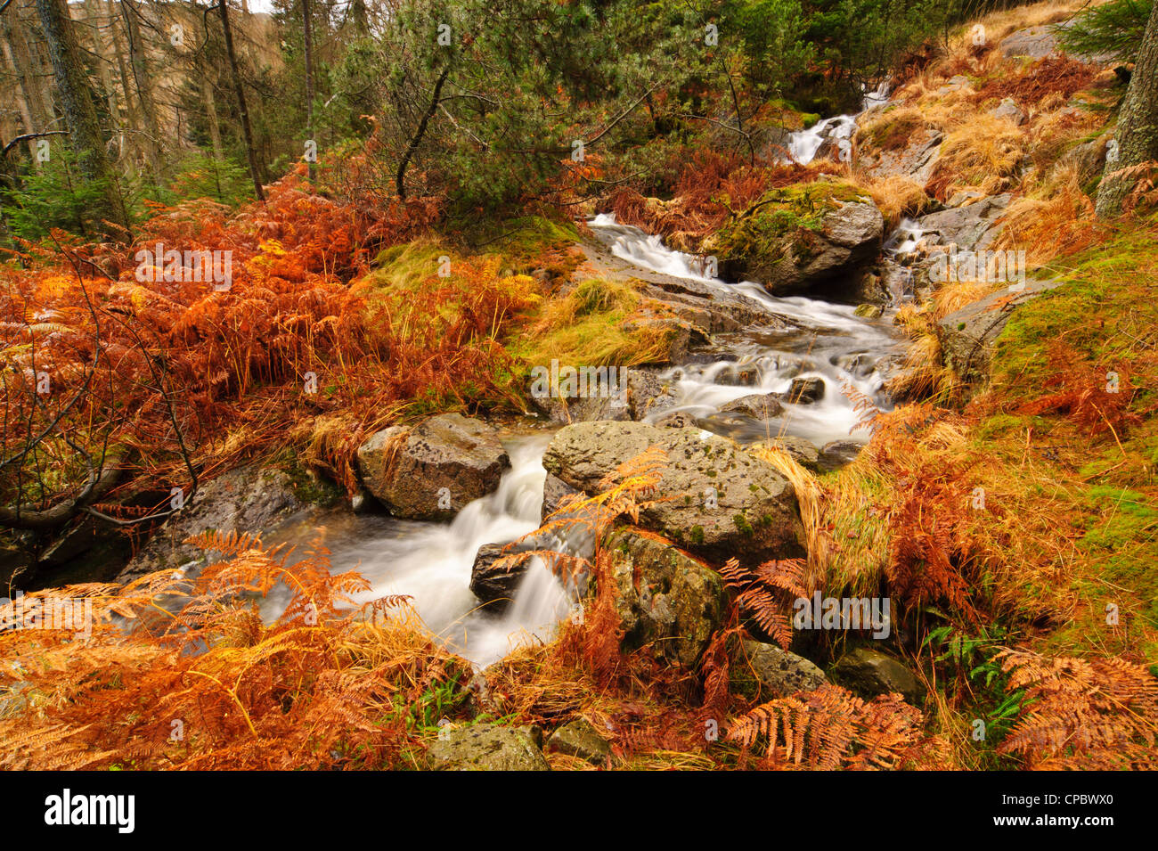 Cascade near Harrop Tarn above Thirlmere Lake District Stock Photo - Alamy
