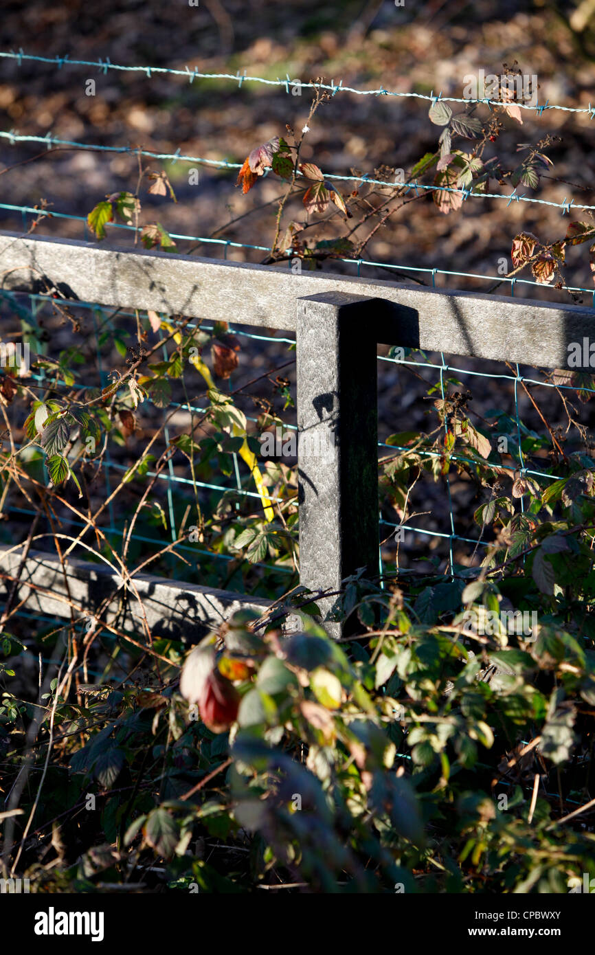 Traditional style fencing and posts made from recycled plastic,so ...