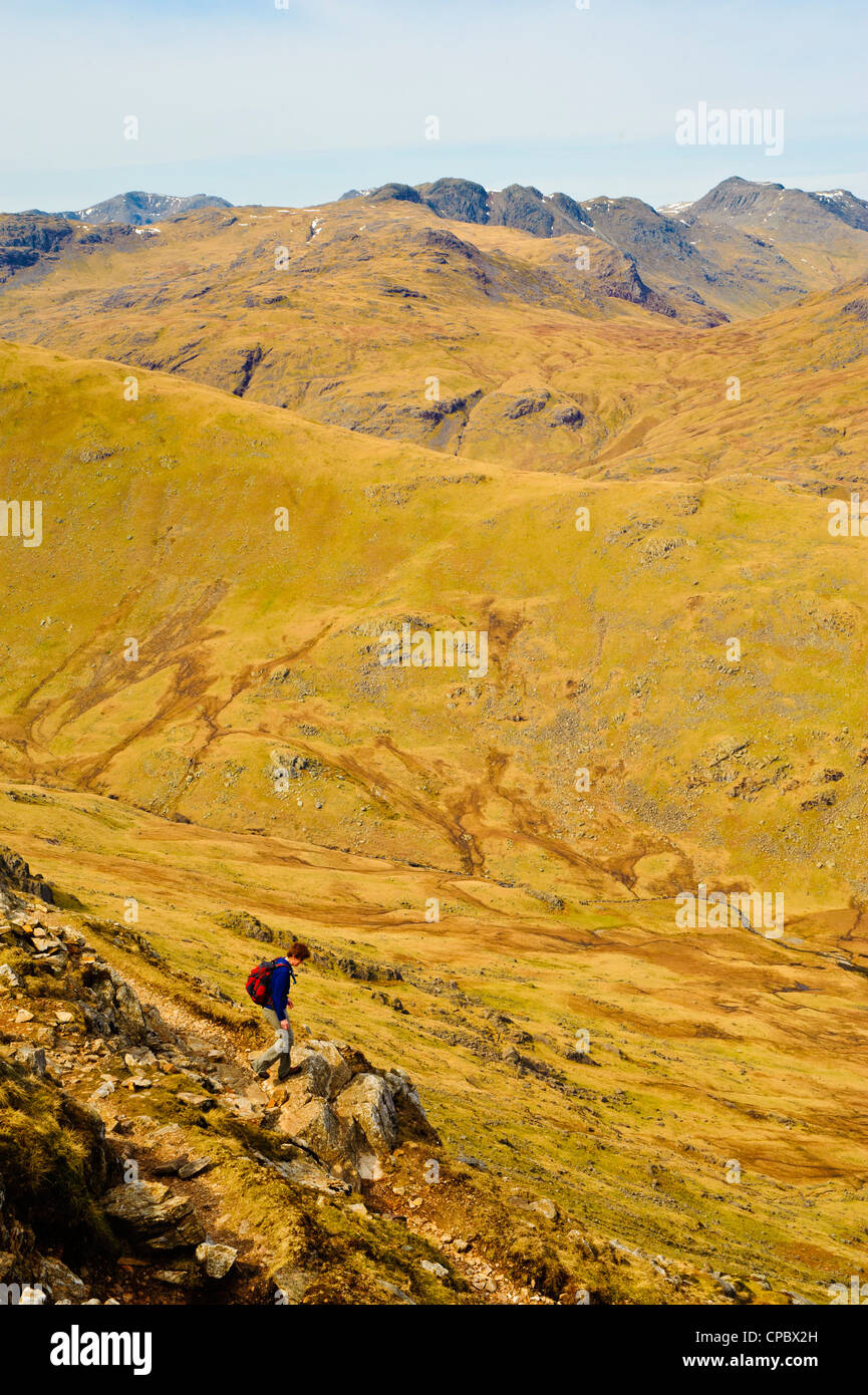 Walker descending Wetherlam Edge on Wetherlam Lake District with ...
