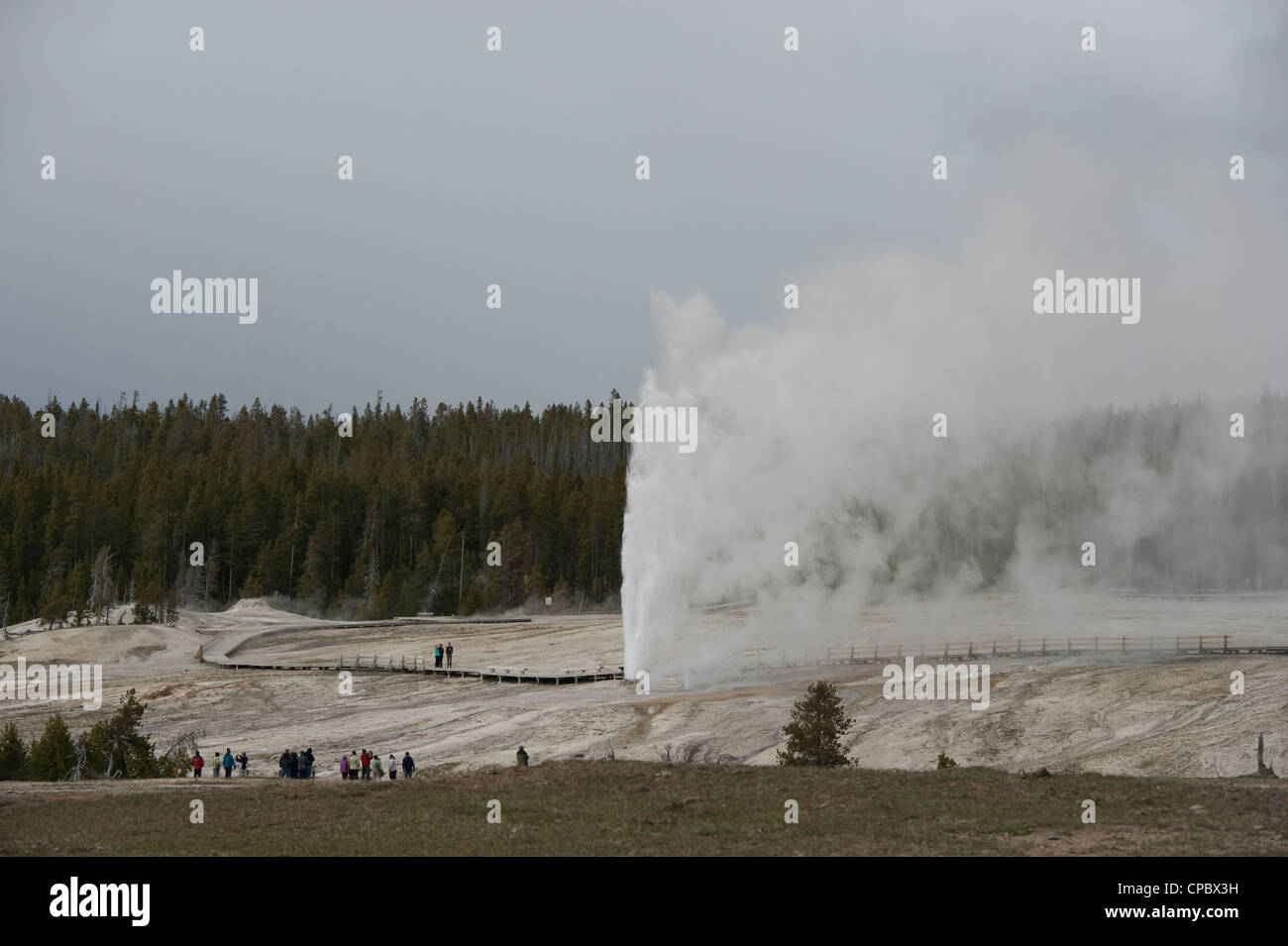 USA, Wyoming, Yellowstone National Park, Yellowstone, Beehive Geyser ...