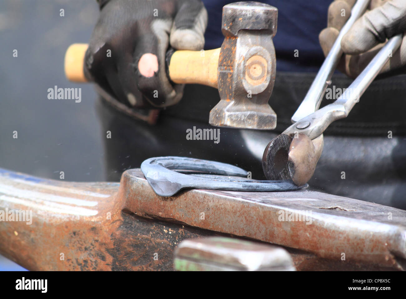 A farrier is making a horseshoe hitting with a hammer on the anvil ...