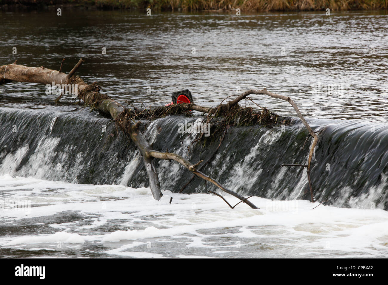 A large tree branch and a traffic cone are stuck on the top of a weir ...