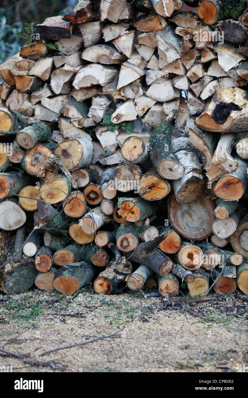 A pile of firewood/logs neatly stacked up ready for use Stock Photo - Alamy