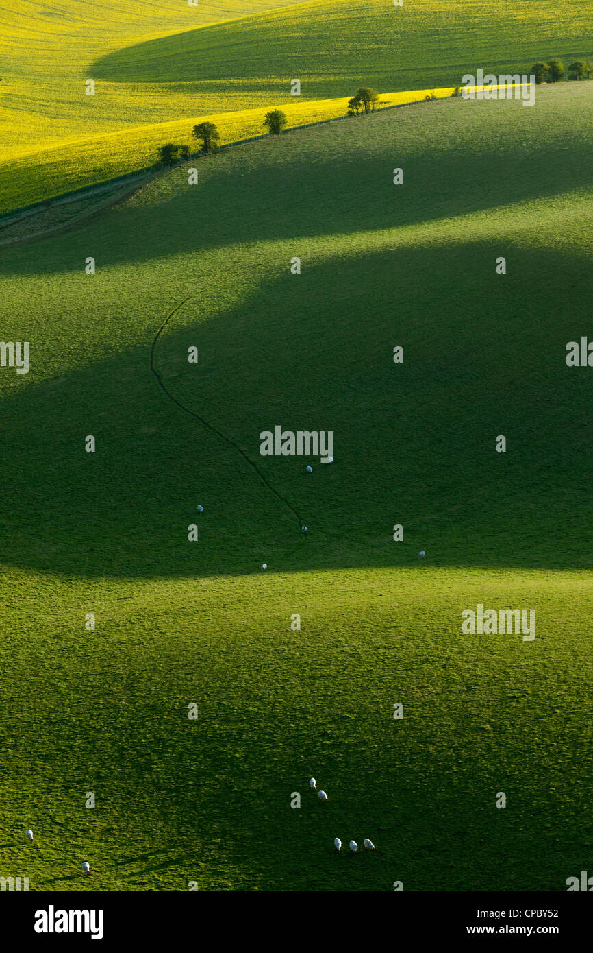Spring morning in South Downs National Park, East Sussex, England Stock ...