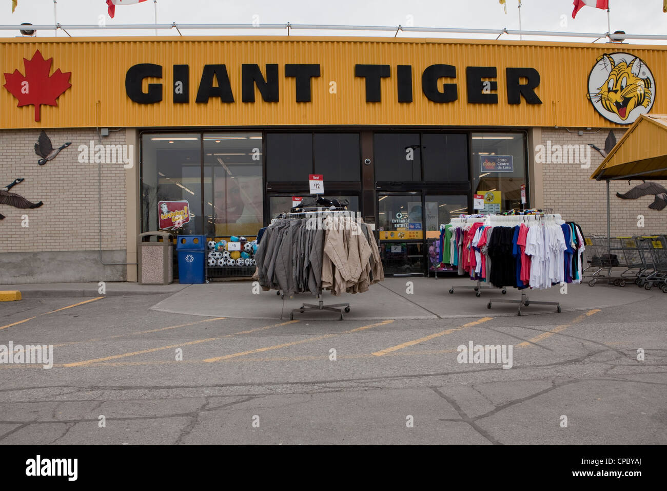 A Giant Tiger store is pictured in Ottawa Stock Photo - Alamy