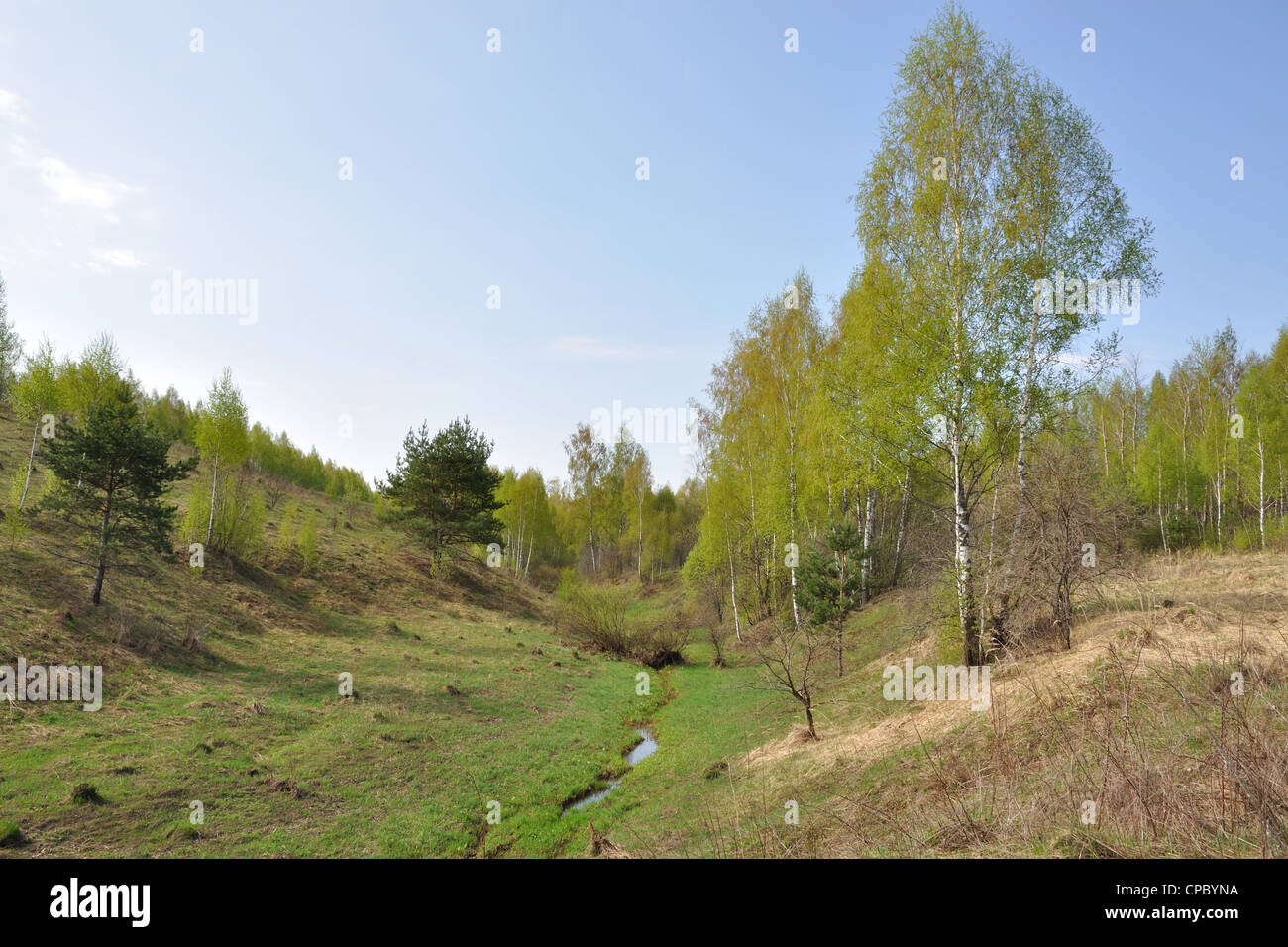 Spring horizontal landscape hi-res stock photography and images - Alamy