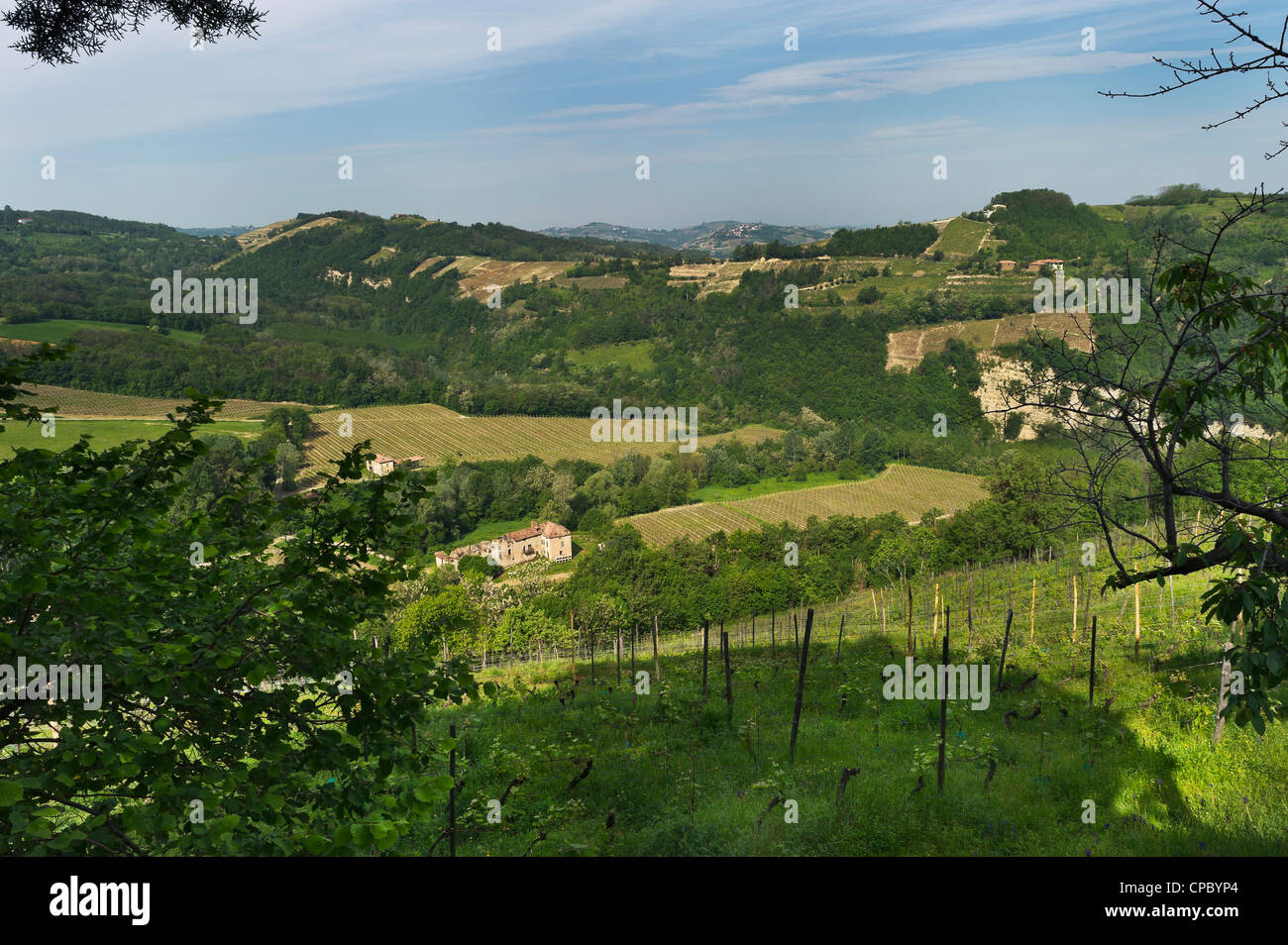 country landscape at Loazzolo, Langhe astigiane zone, Piedmont, Italy ...